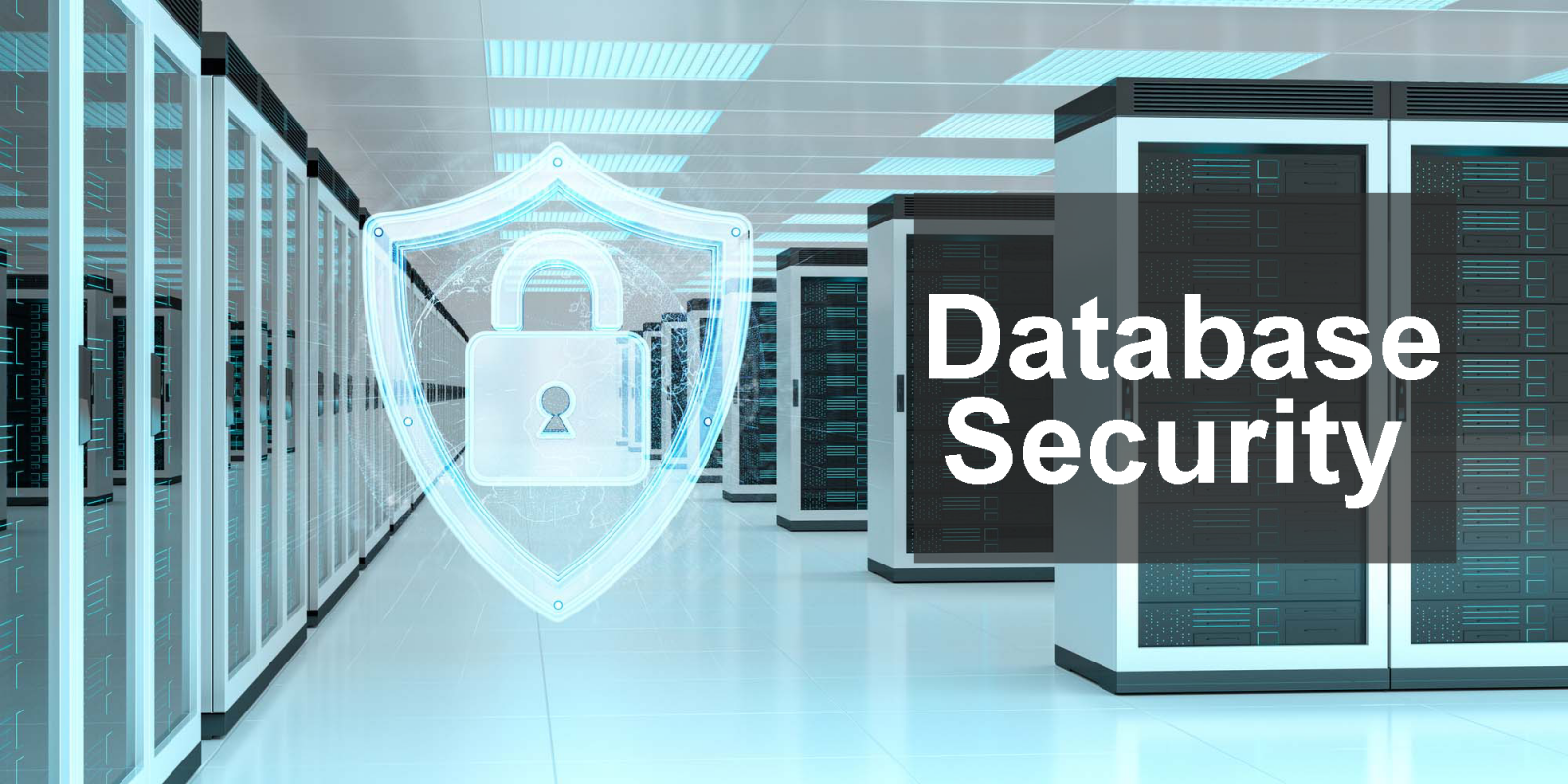 Database Security